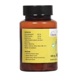 Bone heal tablets - Ostsol Tablets | Bhoomi Nutraceuticals, Hingoli, India